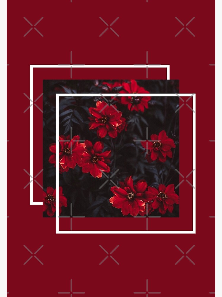 "Aesthetic Red Flowers with Frames" Poster for Sale by cerenalkan ...