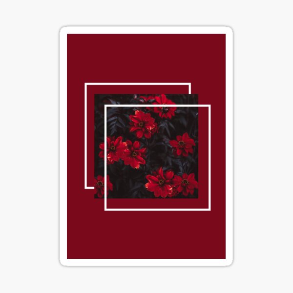 "Aesthetic Red Flowers with Frames" Sticker by cerenalkan | Redbubble