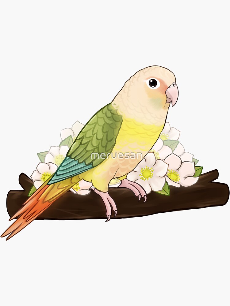 "Cute Conure" Sticker for Sale by meruesan | Redbubble