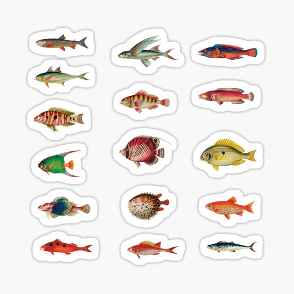"Painted Fish Sticker Pack - multiple fishes" Sticker by SoulColours ...