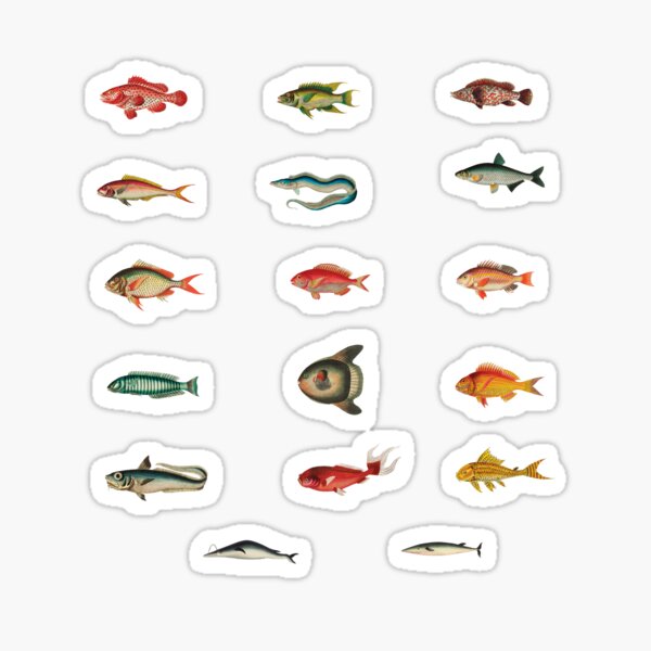 "Painted Fish Sticker Pack - colourful multiple fishes" Sticker for ...
