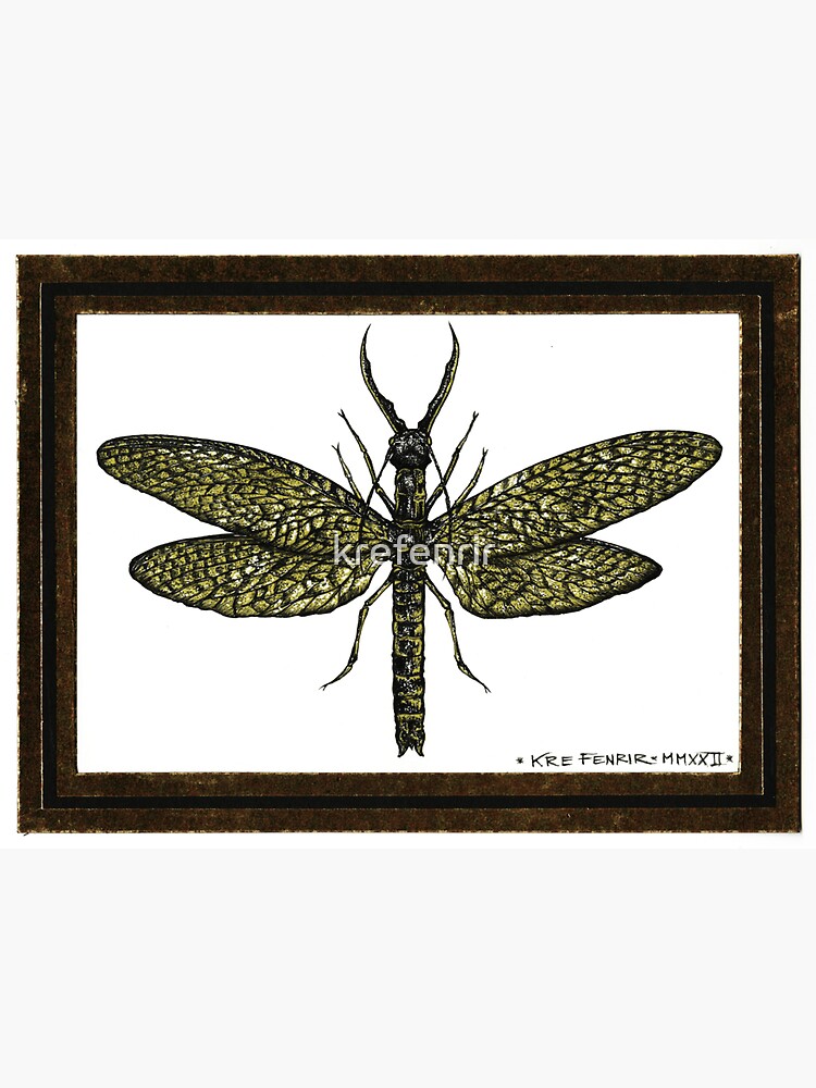 "Acanthacorydalis Fruhstorferi" Sticker by krefenrir | Redbubble