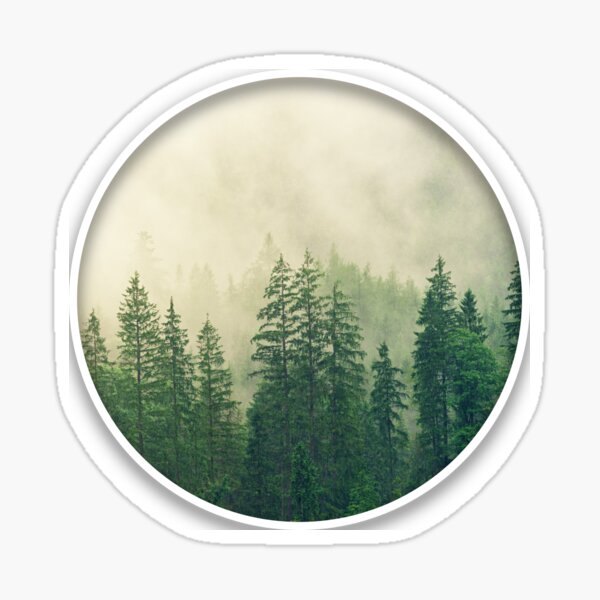 "Forest Misty Sticker" Sticker by Jacksauce6 | Redbubble
