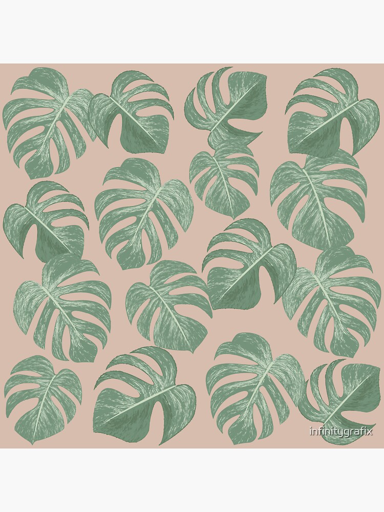 "Tropical Monstera Swiis Cheese Plant Leaves Design - Blush Pink Background" Sticker for Sale by ...
