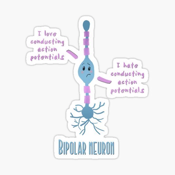 "Bipolar neuron" Sticker for Sale by Tamm-art | Redbubble