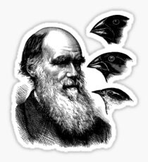 Charles Darwin Stickers | Redbubble