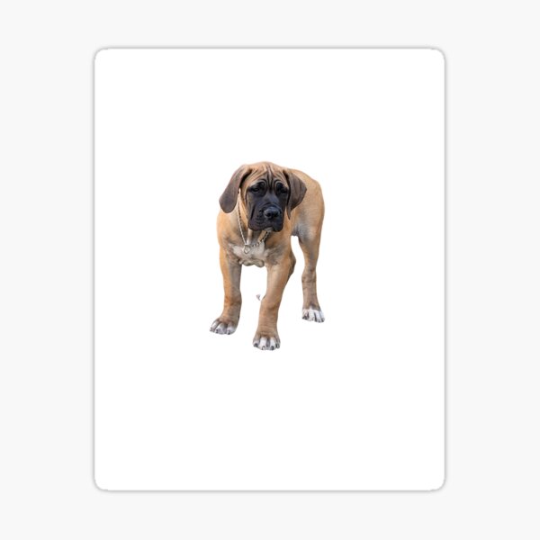 "World's Cutest Boerboel Puppy" Sticker by PuppyLoversArea | Redbubble