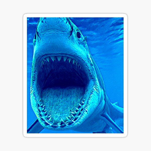 "Shark Attack" Sticker for Sale by ash-frost-xo | Redbubble