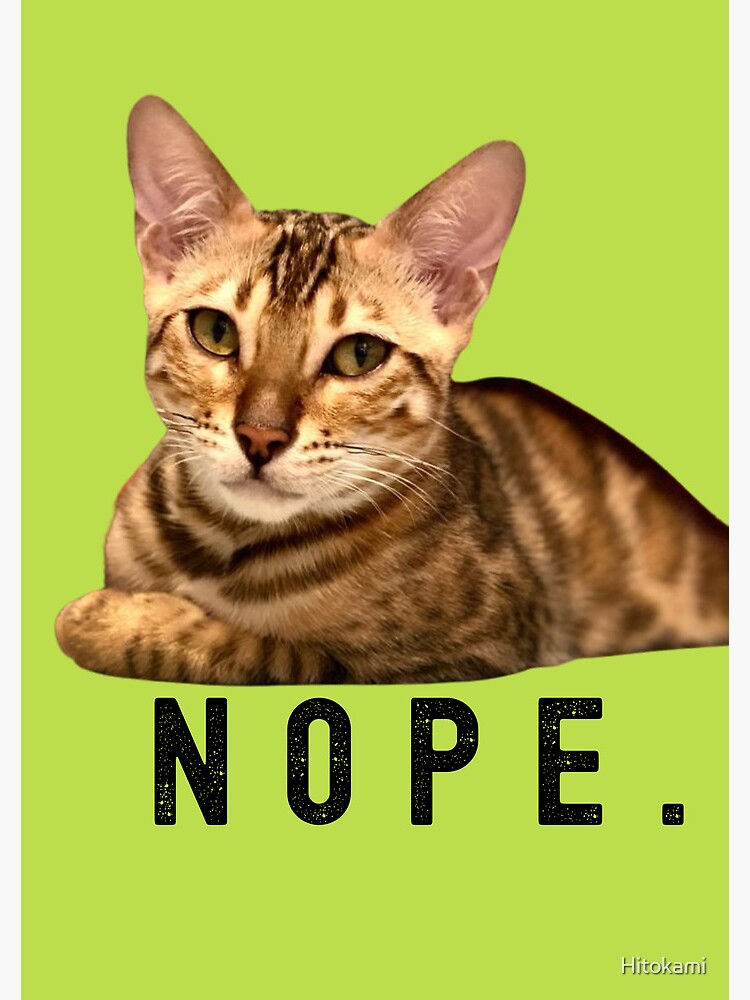 "NOPE cat meme" Spiral Notebook for Sale by Hitokami | Redbubble