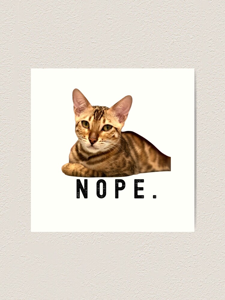 "NOPE cat meme" Art Print for Sale by Hitokami | Redbubble