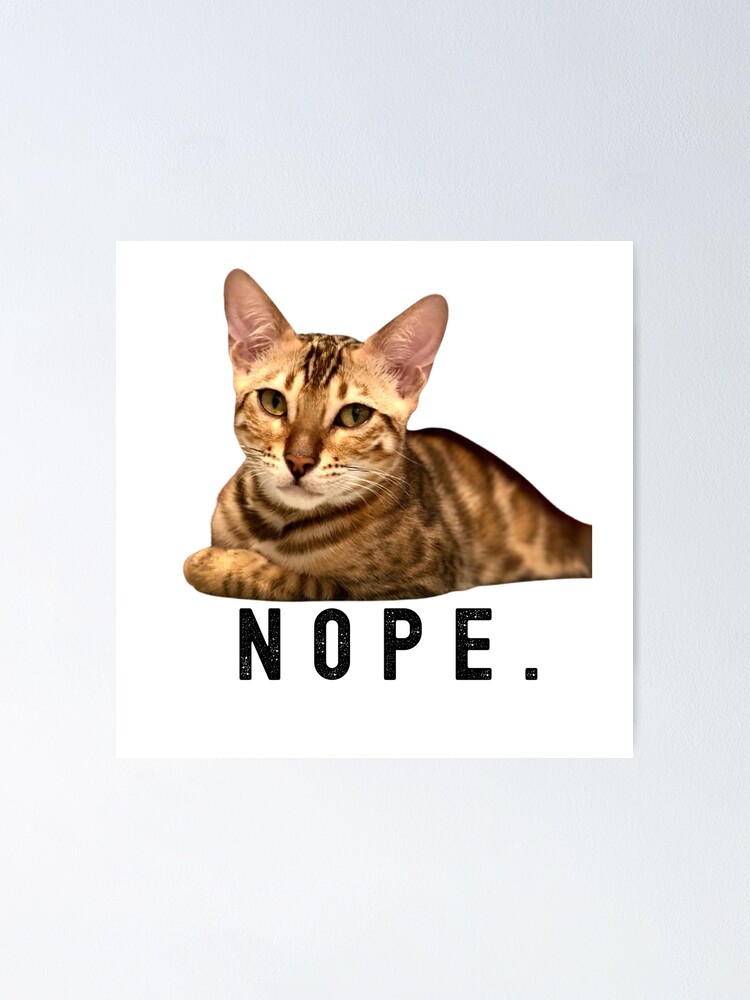 "NOPE cat meme" Poster for Sale by Hitokami | Redbubble
