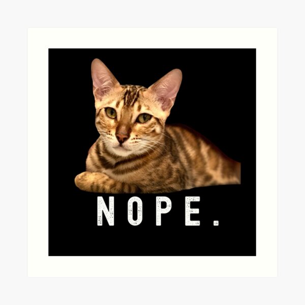 "NOPE cat meme" Art Print for Sale by Hitokami | Redbubble