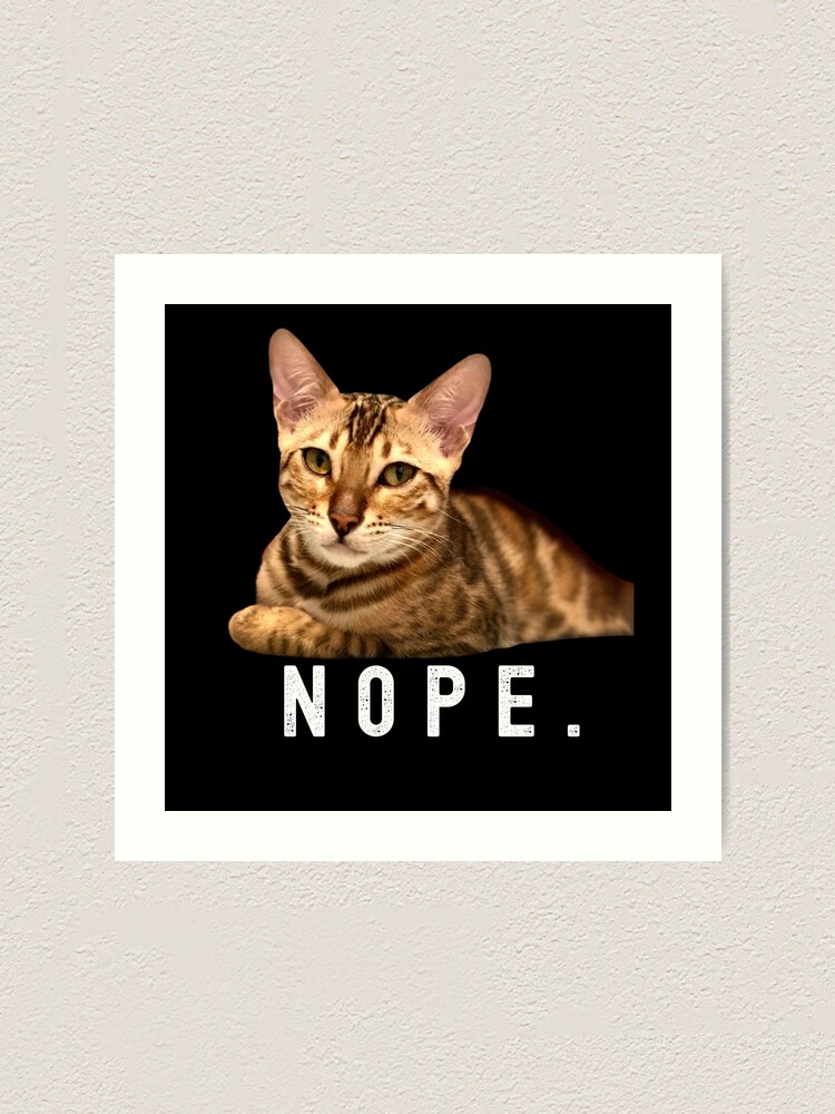 "NOPE cat meme" Art Print for Sale by Hitokami | Redbubble