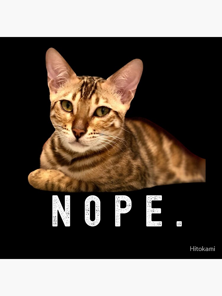 "NOPE cat meme" Art Print for Sale by Hitokami | Redbubble