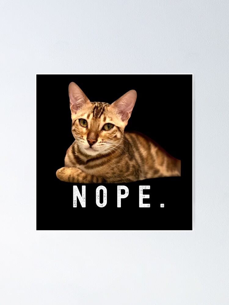 "NOPE cat meme" Poster for Sale by Hitokami | Redbubble