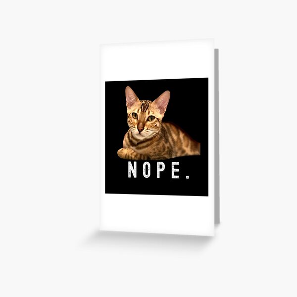 "NOPE cat meme" Greeting Card by Hitokami | Redbubble