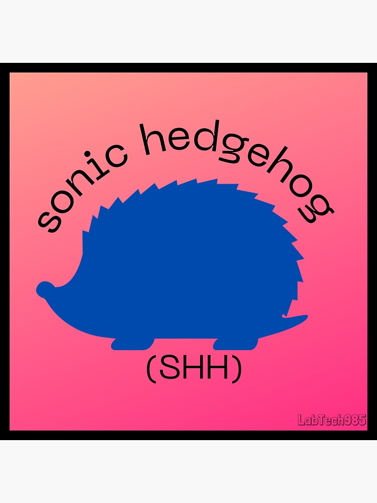 "Sonic Hedgehog gene" Sticker for Sale by LabTech985 | Redbubble