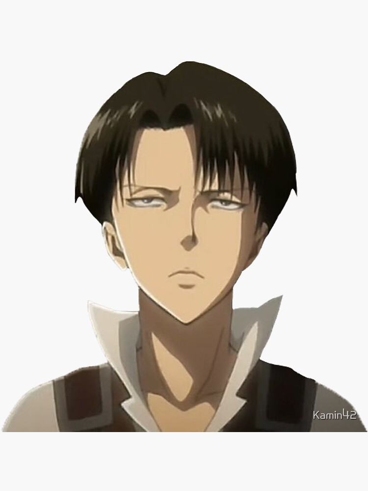 "Levi Ackerman Blank Stare" Sticker by Kamin42 | Redbubble
