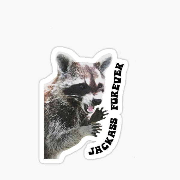 "Jackass forever " Sticker for Sale by beatitudodesign | Redbubble
