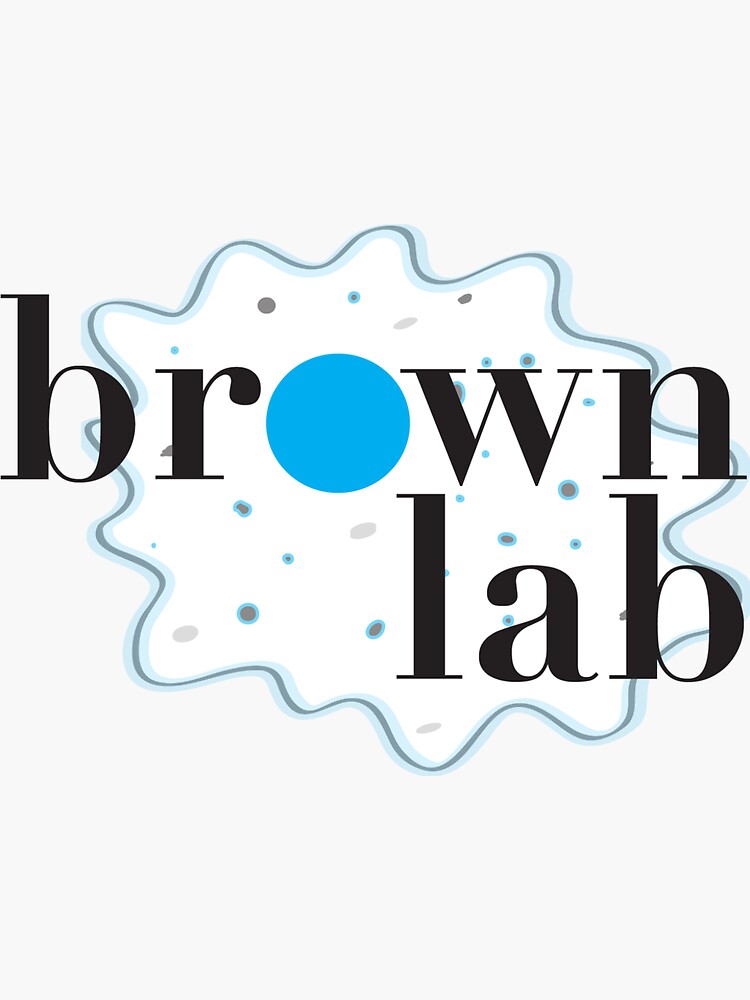 "Brown Lab Logo" Sticker by Nerdygirlmads | Redbubble