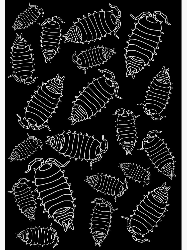 "Isopod pattern" Poster for Sale by Artbychb | Redbubble