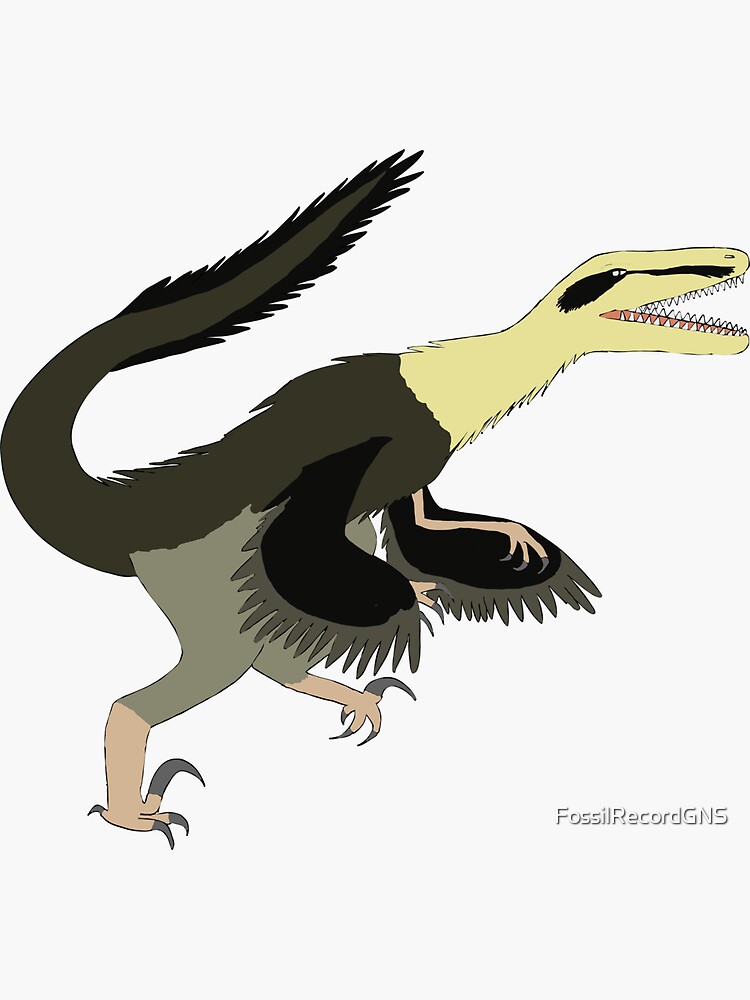 "Pouncing Pyroraptor" Sticker by FossilRecordGNS | Redbubble