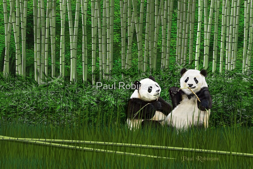 "Giant Pandas Bears In Chinese Bamboo Forest" by Paul Robinson | Redbubble