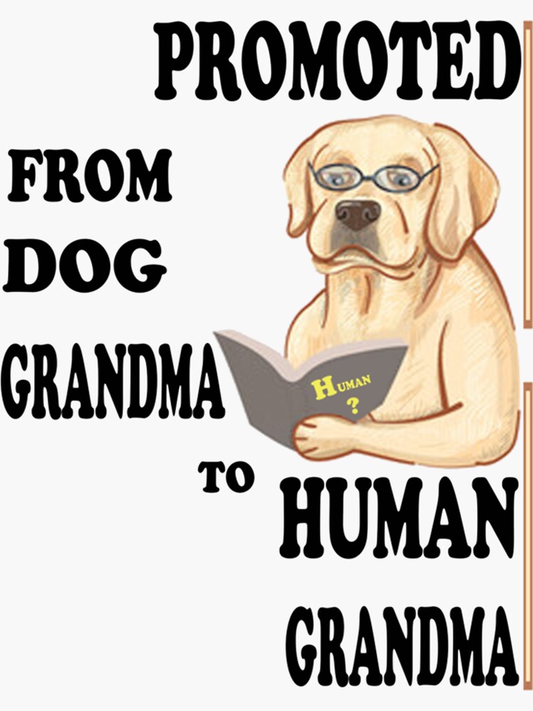 "promoted from dog grandma to human grandma Active " Sticker for Sale ...