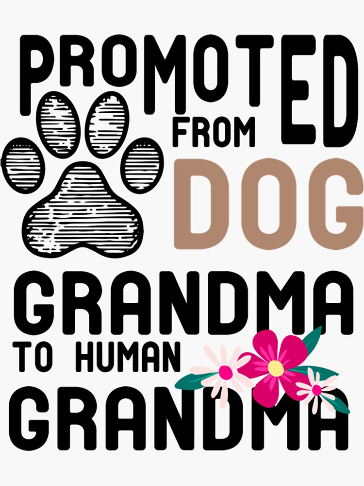 "Promoted From Dog Grandma To Human Grandma , funny 2022 Grandma ...