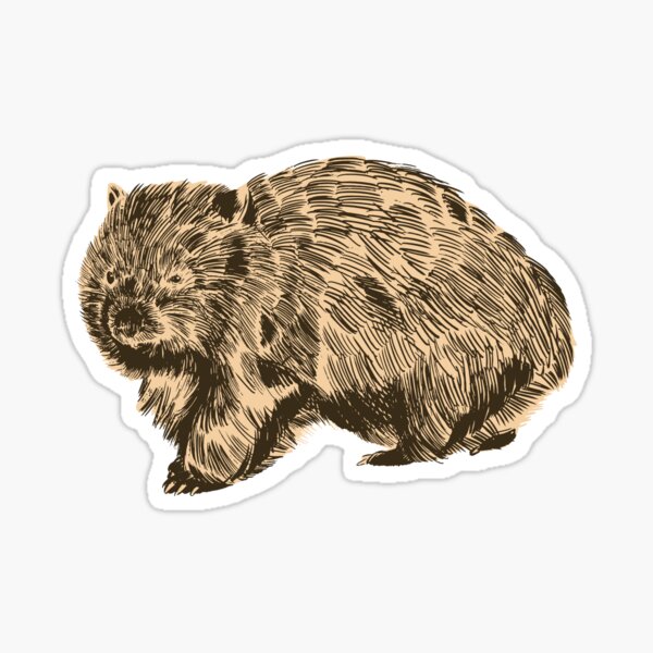 Australian Wombats Merch & Gifts for Sale | Redbubble