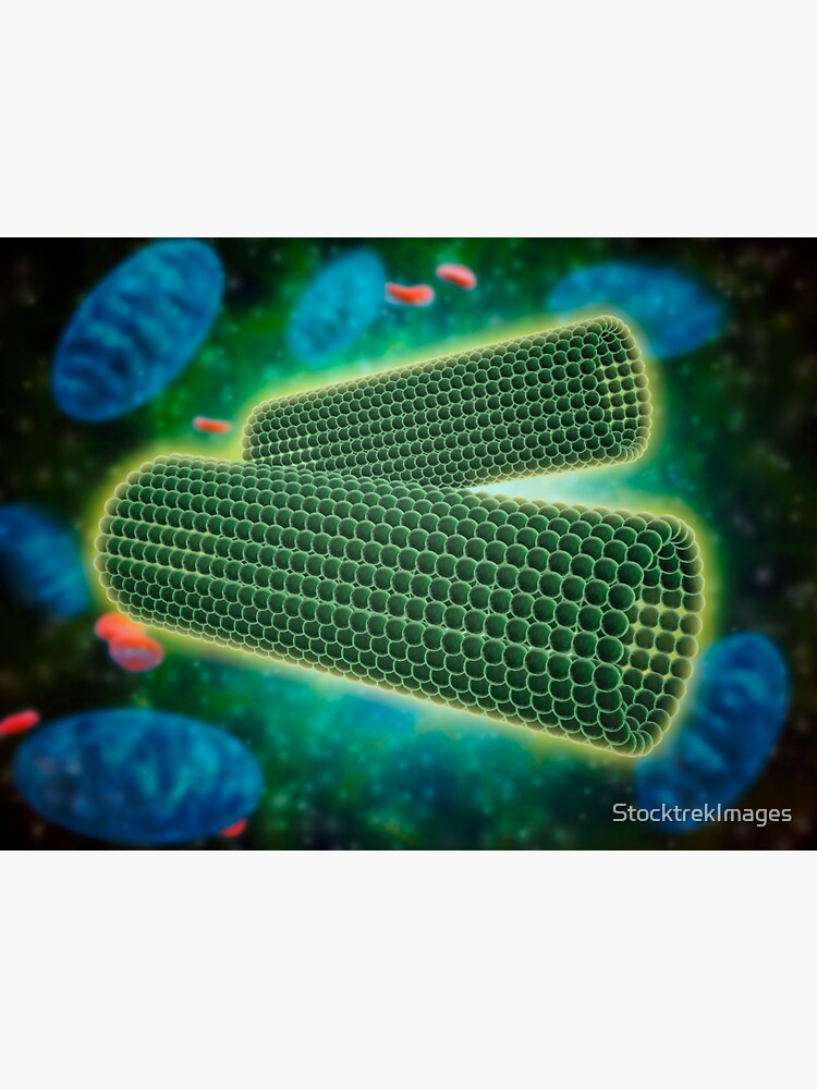 Microscopic View Of Centrioles Within A Human Cell Sticker By Stocktrekimages Redbubble