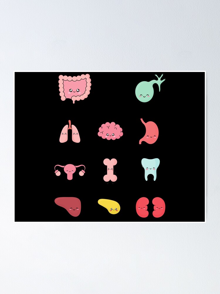 "Kawaii Medical Organs " Poster for Sale by ProtonProject | Redbubble