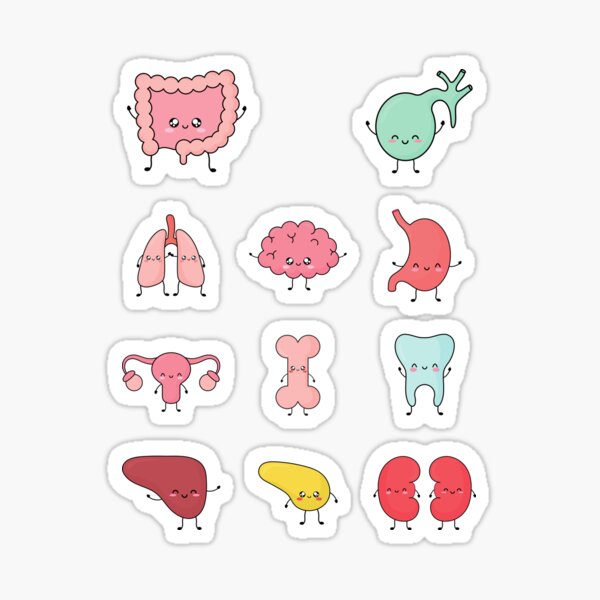 "Kawaii Medical Organs " Sticker by ProtonProject | Redbubble