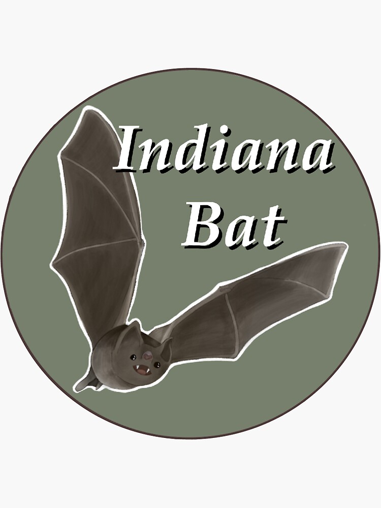 "Indiana bat -green background " Sticker by Seraphbile | Redbubble
