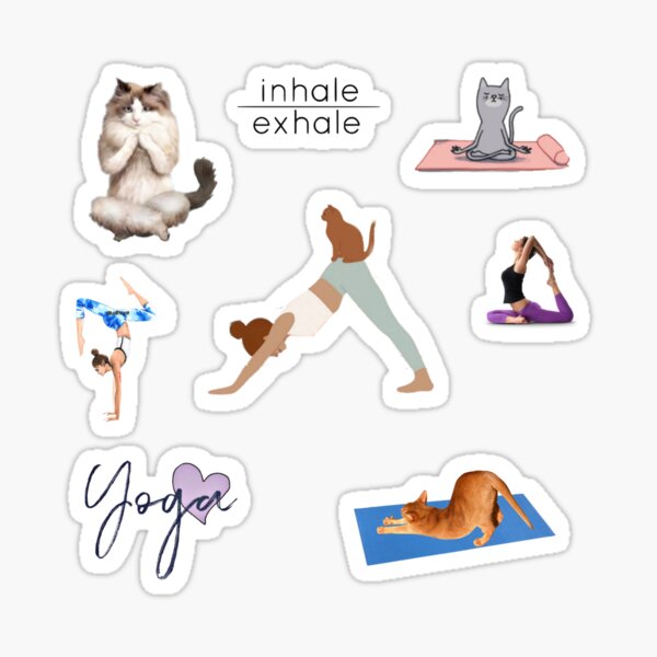 "Love and yoga and a cat pack, cat meditation pack, colorful funny cat ...