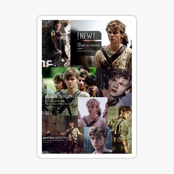 "Secret Newt Cute Gift" Sticker for Sale by Connorchristian | Redbubble