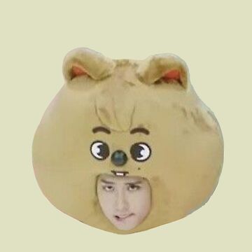 "Stray Kids Funny Han Meme" Sticker for Sale by kpopnow | Redbubble