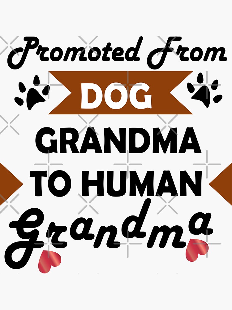 "Promoted From Dog Grandma To Human Grandma" Sticker by AmazeMart ...