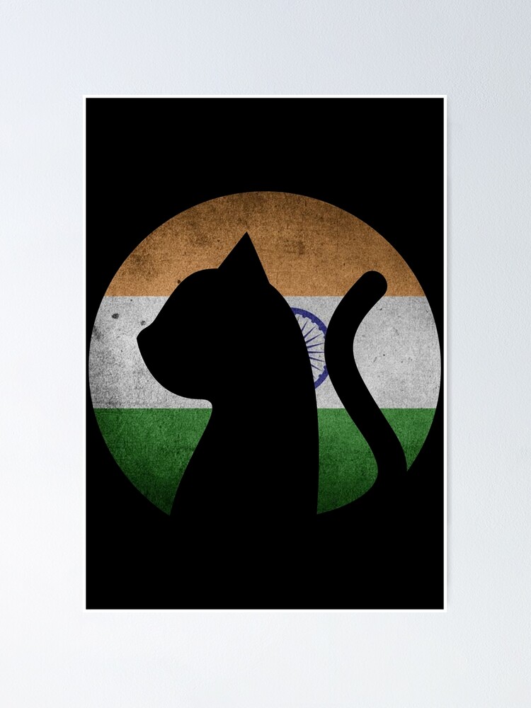 "Cat in Indian Flag - Funny Cat Picture of a Indian Patriotic Kitty Cat ...