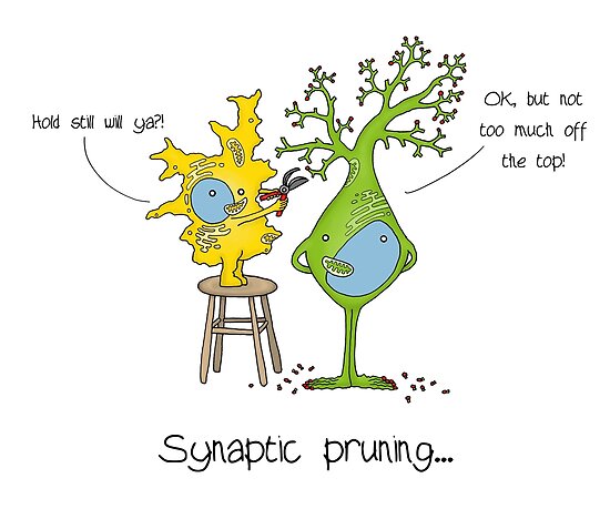 "Synaptic Pruning" Posters by Cartoon Neuron | Redbubble