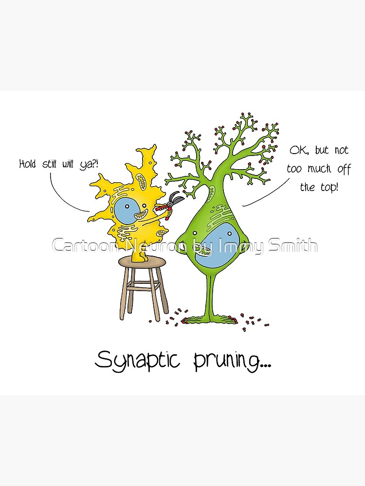 "Synaptic Pruning" Poster for Sale by Immy | Redbubble