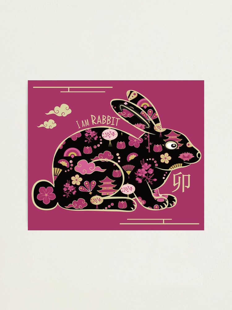 "RABBIT - Chinese Zodiac Animal, Astrology Sign, Year of the Hare ...