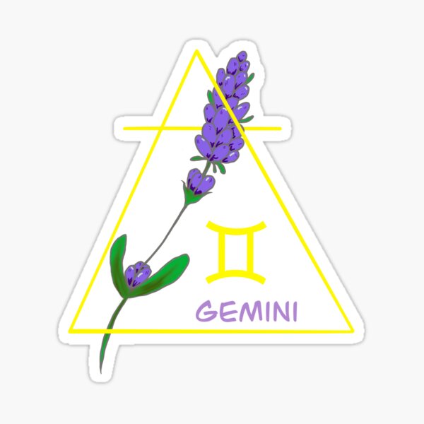 "Gemini | Zodiac | Astrology" Sticker for Sale by Urbsnspic3s | Redbubble