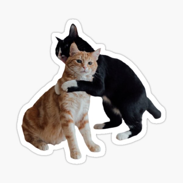 "Cats Hug" Sticker by dina215 | Redbubble