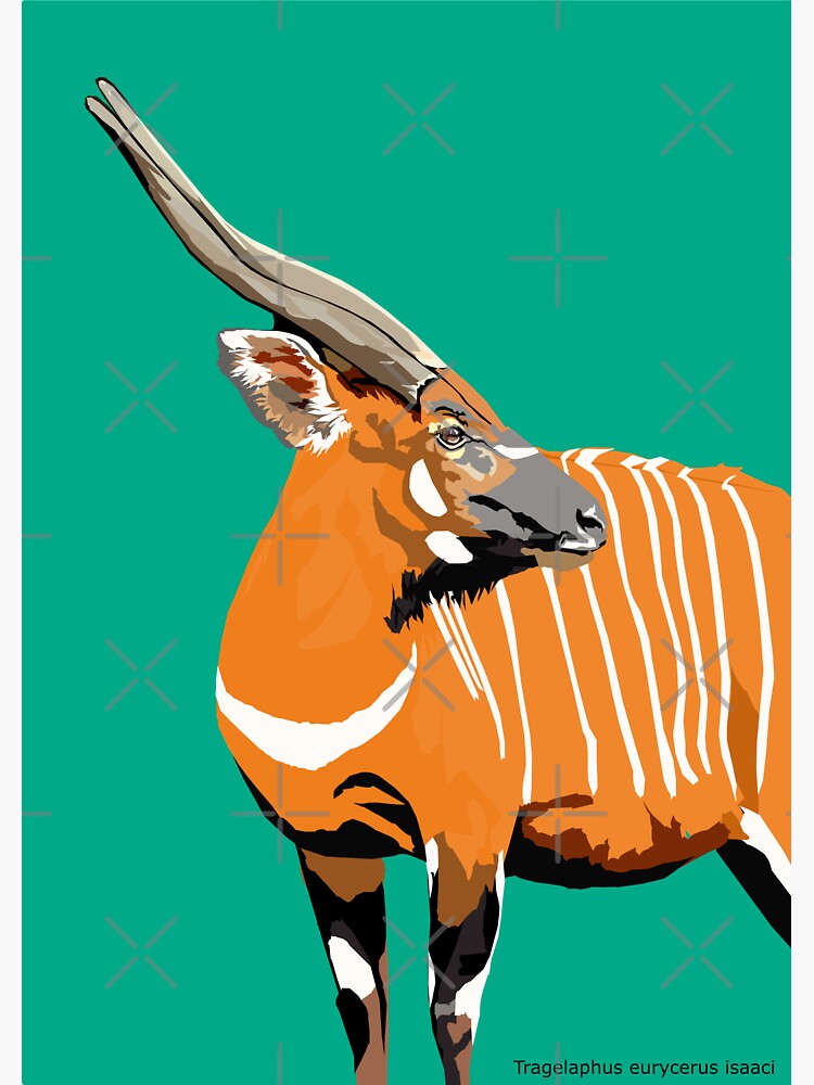 "Eastern Bongo Poster " Sticker by mademat91 | Redbubble
