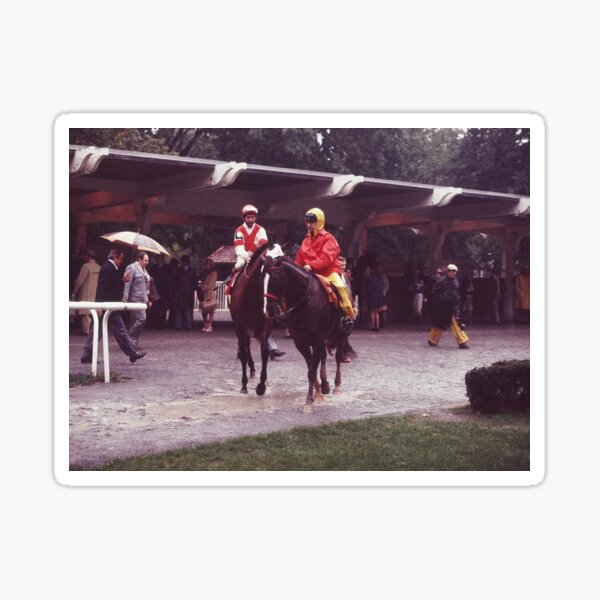 "C2022 Steve Yellowbear RAINY DAY PADDOCK 516" Sticker for Sale by ...