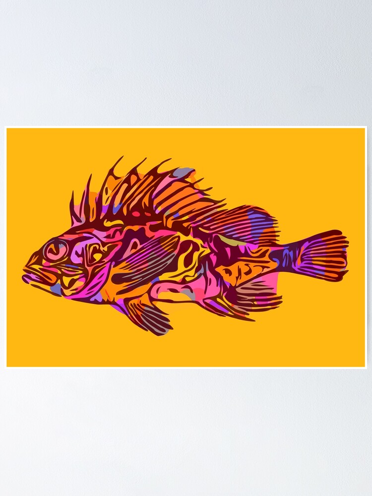 "South Australian Cobbler Fish" Poster by SMSFineArt | Redbubble
