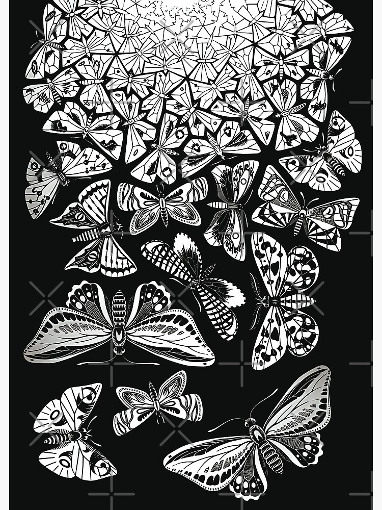"M.C Escher - Butterflies Tessellation" Poster for Sale by Artone369 ...