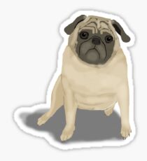 Pug: Stickers | Redbubble