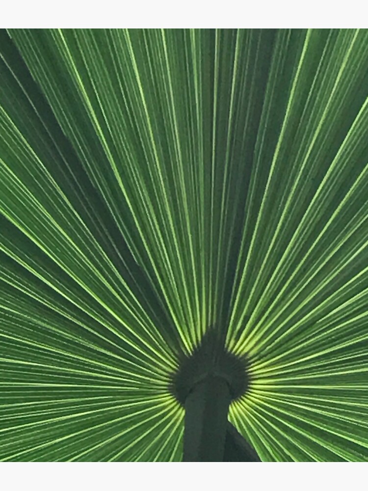 "Jungle Zen" Sticker for Sale by theRakuGiraffe | Redbubble